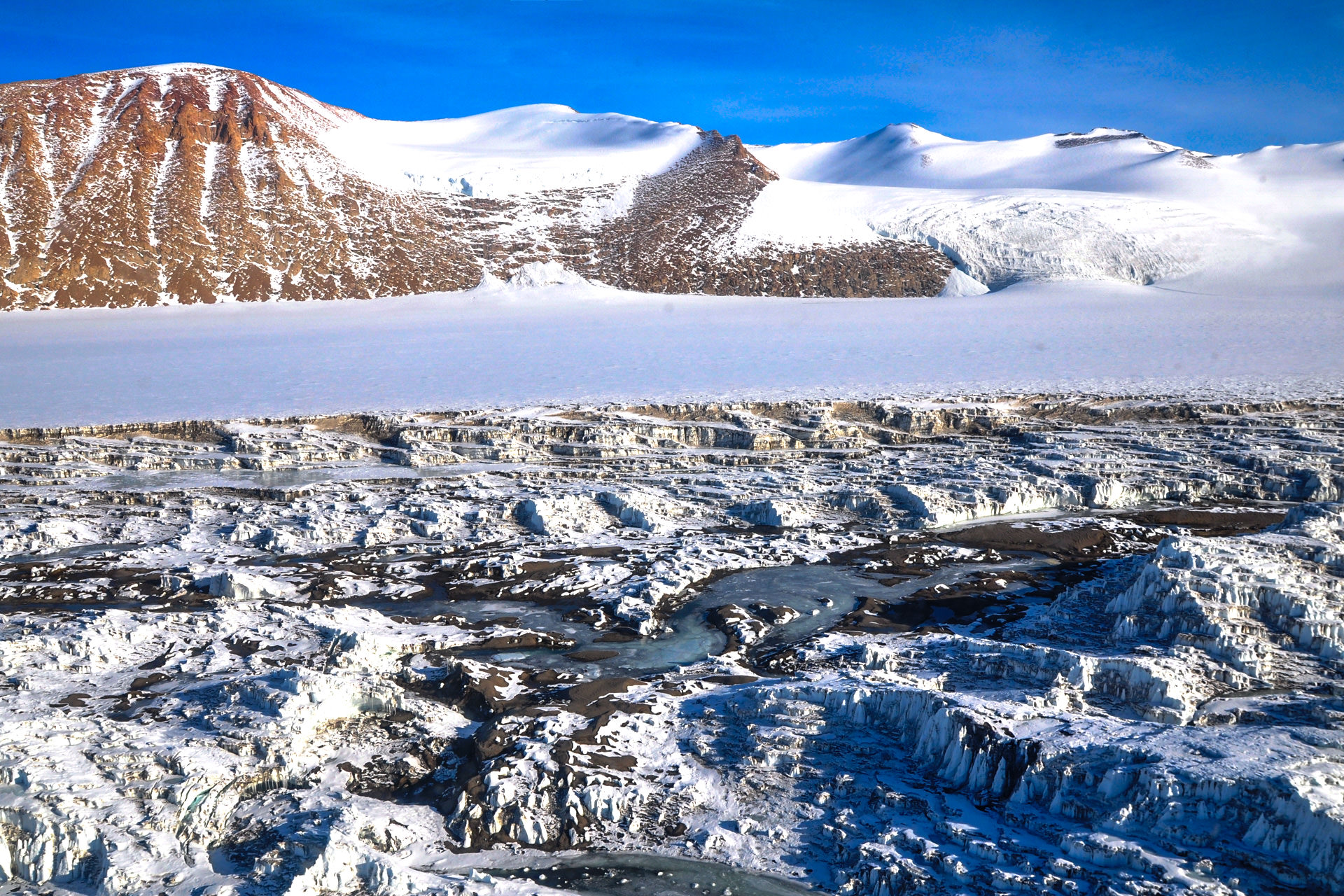 Foreman Research Group – Studying life at the end of the world.