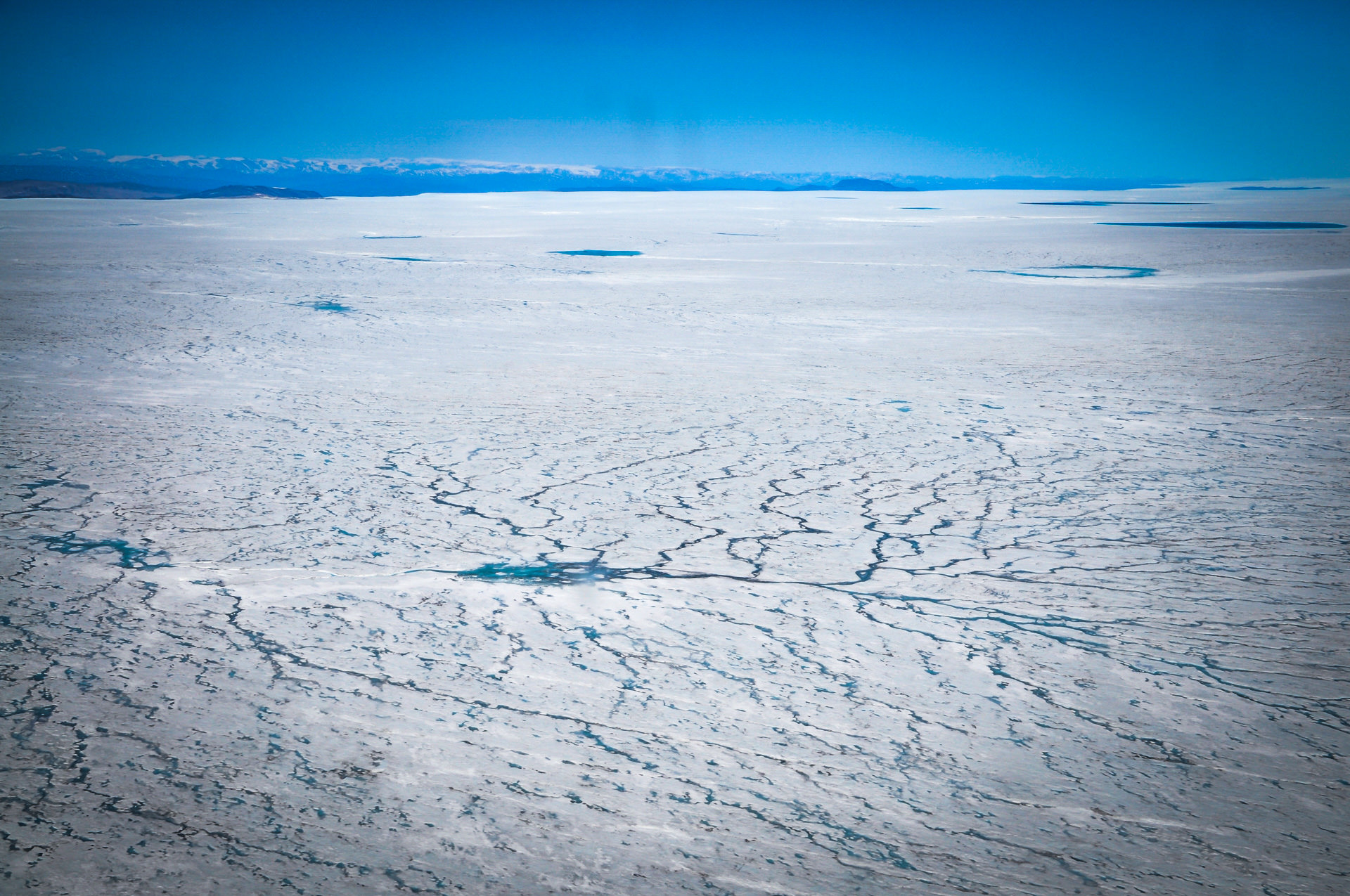 Foreman Research Group – Studying life at the end of the world.